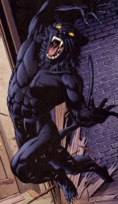 Werecat | Mythology wiki | Fandom