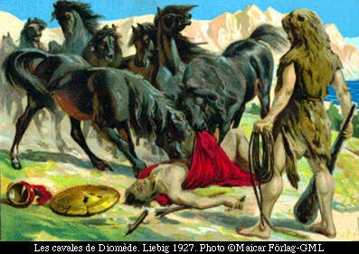 Mares of Diomedes | Myths & Legends Wiki | Fandom