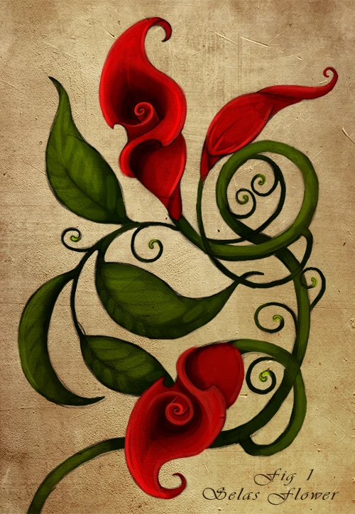 Selas Flower | Kingkiller Chronicle Wiki | Fandom