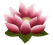 Imagen - Flor de Ren.png | Wiki Nanafans | FANDOM powered by Wikia