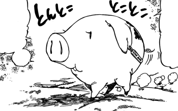 Hawk | Wiki Nanatsu no Taizai | Fandom