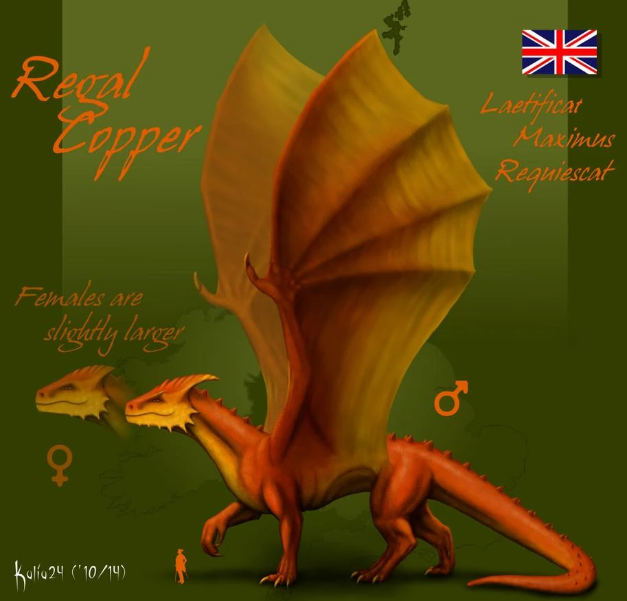 Royal dragon rider battle, Temeraire and William Laurence vs Targaryen ...