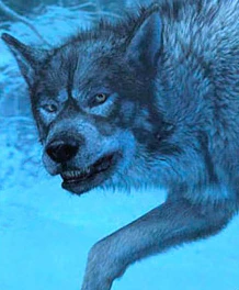 Maugrim | Wiki Narnia | FANDOM powered by Wikia