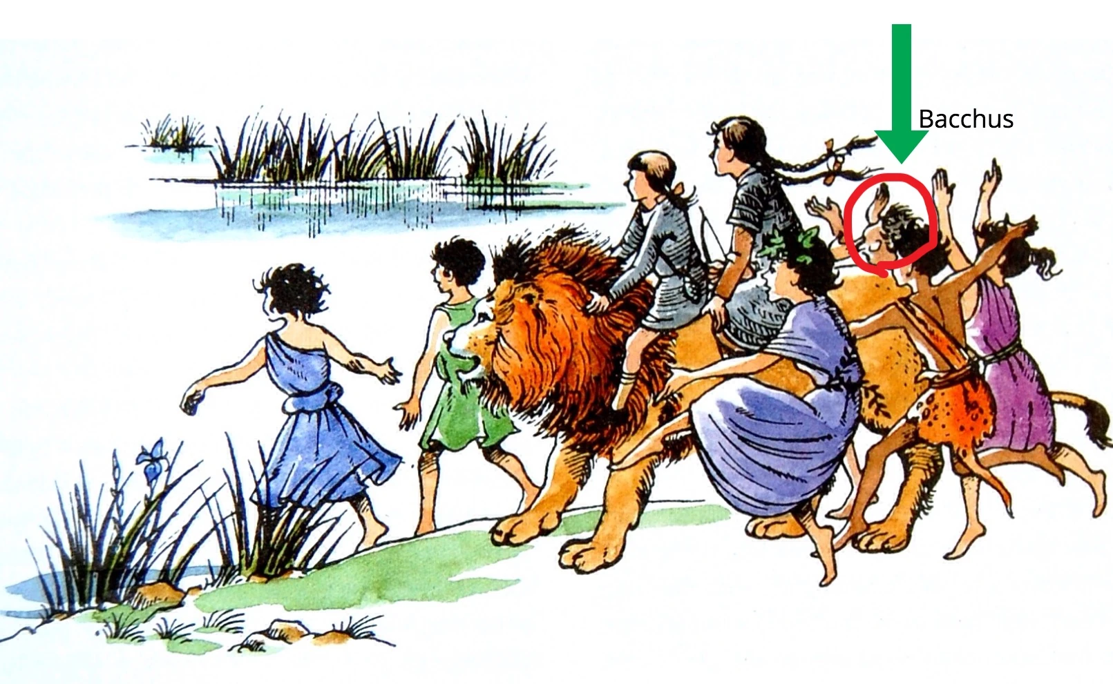 Bacchus | The Chronicles of Narnia Wiki | Fandom