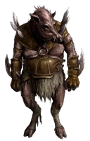 Minoboar | The Chronicles of Narnia Wiki | FANDOM powered by Wikia