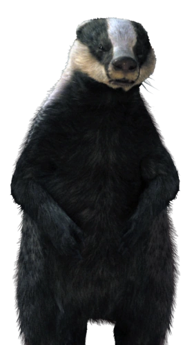 Buscatrufas | Narnia Wiki | Fandom