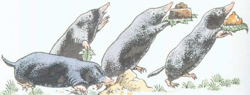 Mole | The Chronicles of Narnia Wiki | FANDOM powered by Wikia