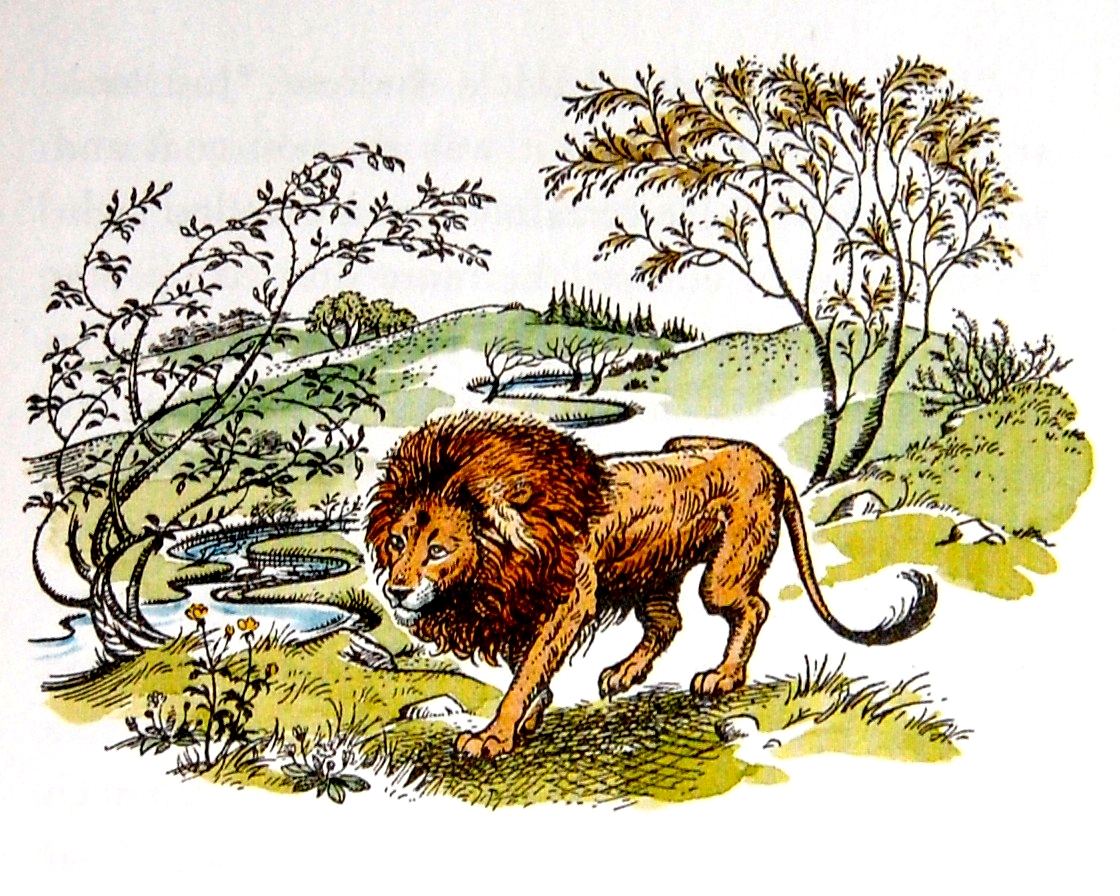 Aslan | The Chronicles of Narnia Wiki | FANDOM powered by Wikia Aslan | The Chronicles of Narnia Wiki | FANDOM powered by Wikia