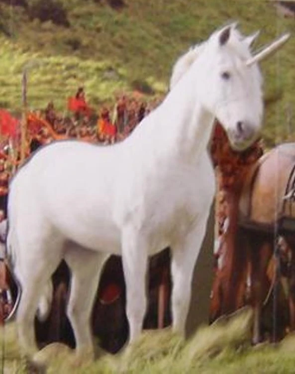 Unicorn | The Chronicles of Narnia Wiki | FANDOM powered by Wikia