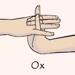 Hand seals guide | Complete naruto hand seals guide Wiki | Fandom