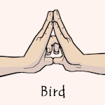 Hand seals guide | Complete naruto hand seals guide Wiki | FANDOM ...