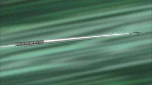 Nuibari | Wiki Naruto | Fandom