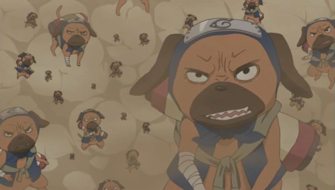 Imagen - Pakkun.jpg | Naruto Wiki | FANDOM powered by Wikia