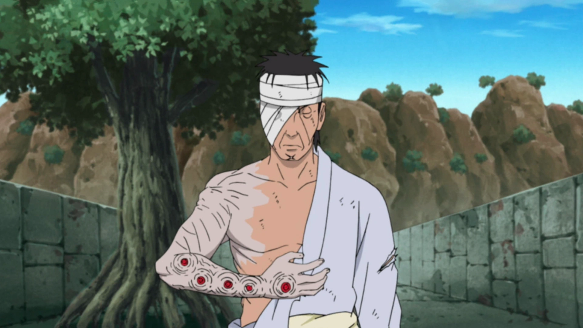 Image - Danzo's arm.png | Narutopedia | FANDOM powered by Wikia