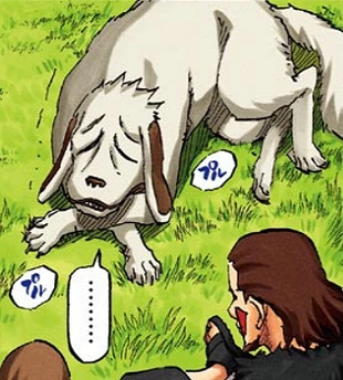 Akamaru | Wiki Naruto | Fandom