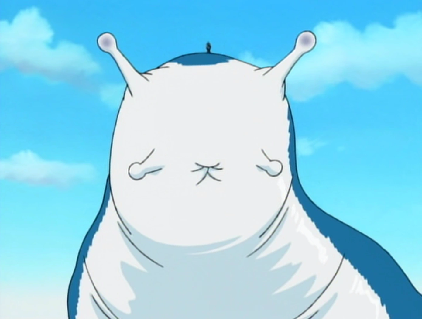 Siput | Narutopedia Indonesia | FANDOM powered by Wikia