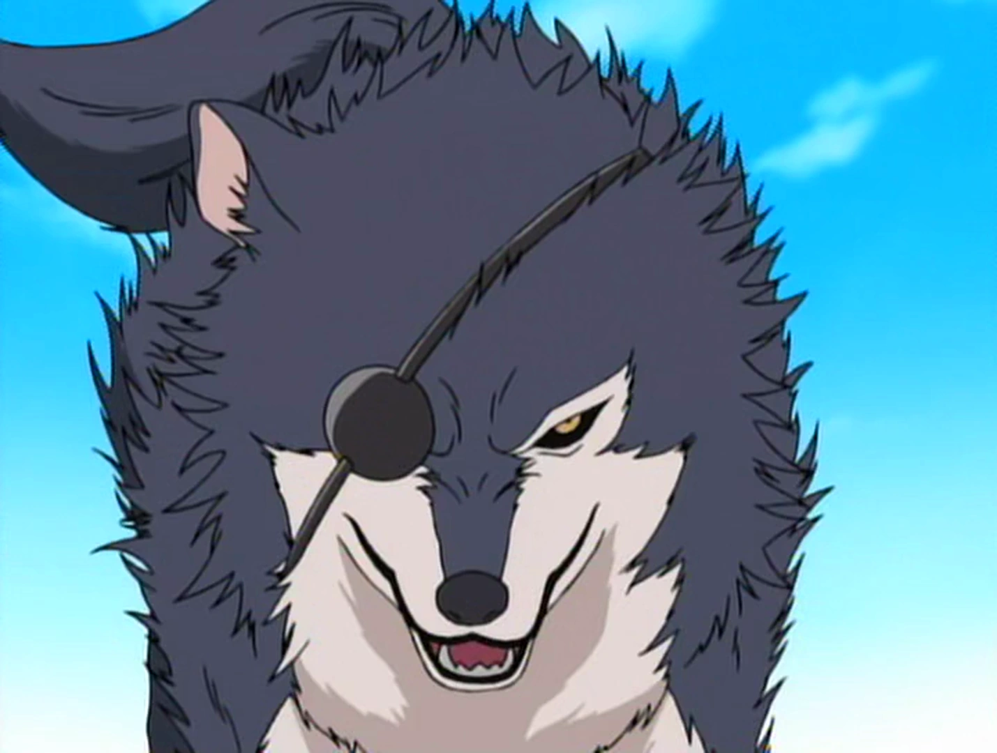 Kuromaru | Naruto Wiki | Fandom