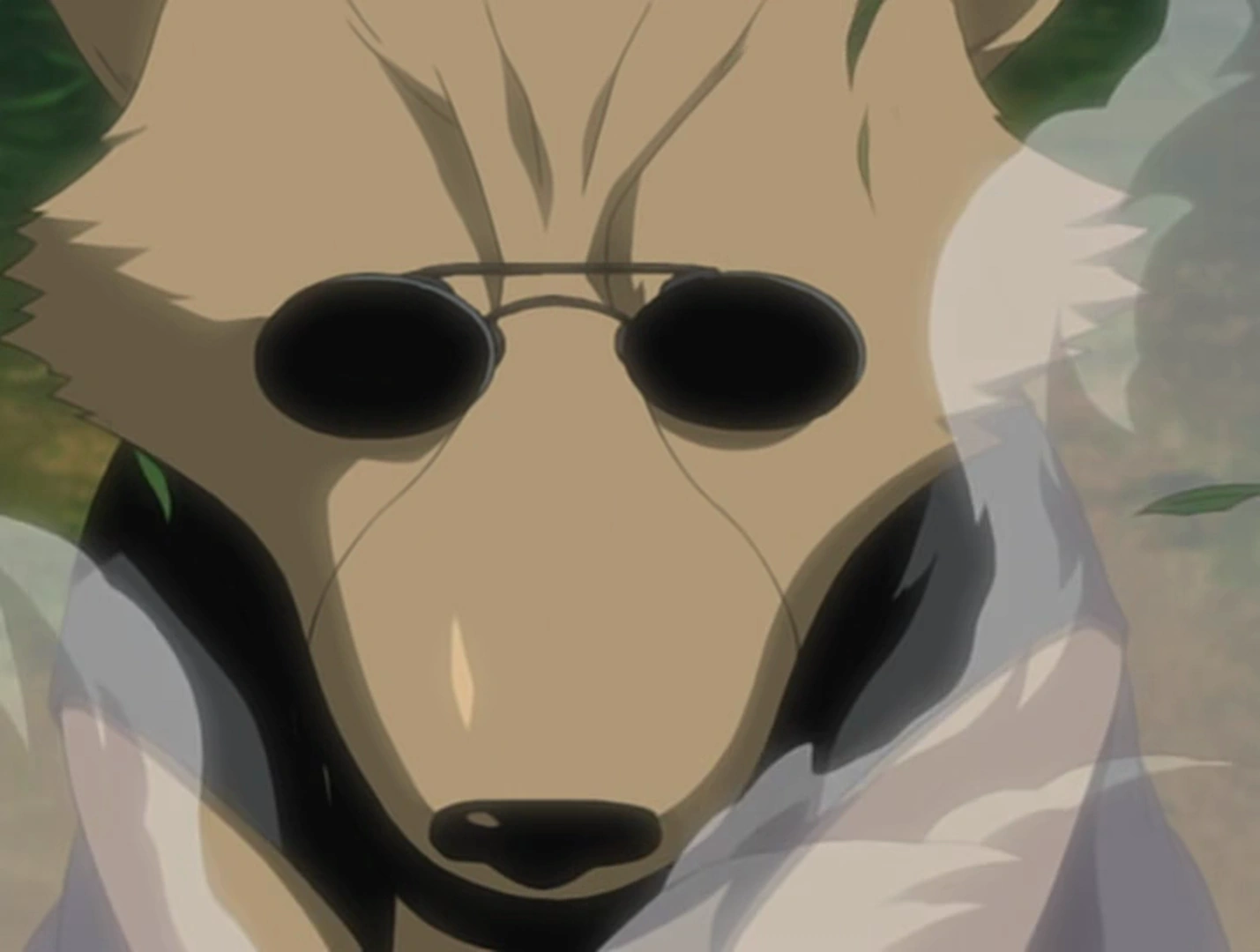 Akino | Naruto Wiki | Fandom