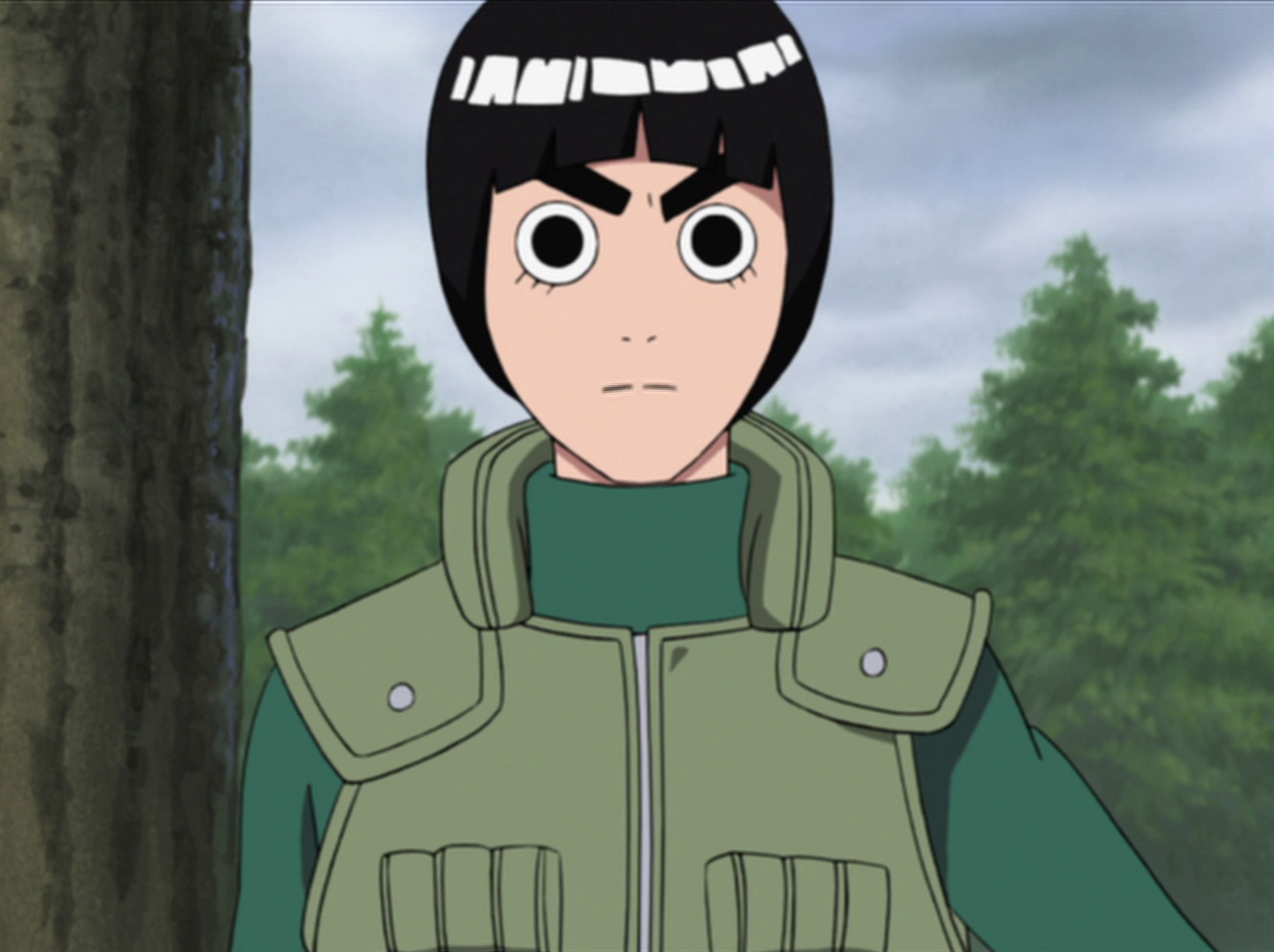 Image - Lee timeskip.png | Narutopedia | FANDOM powered by Wikia