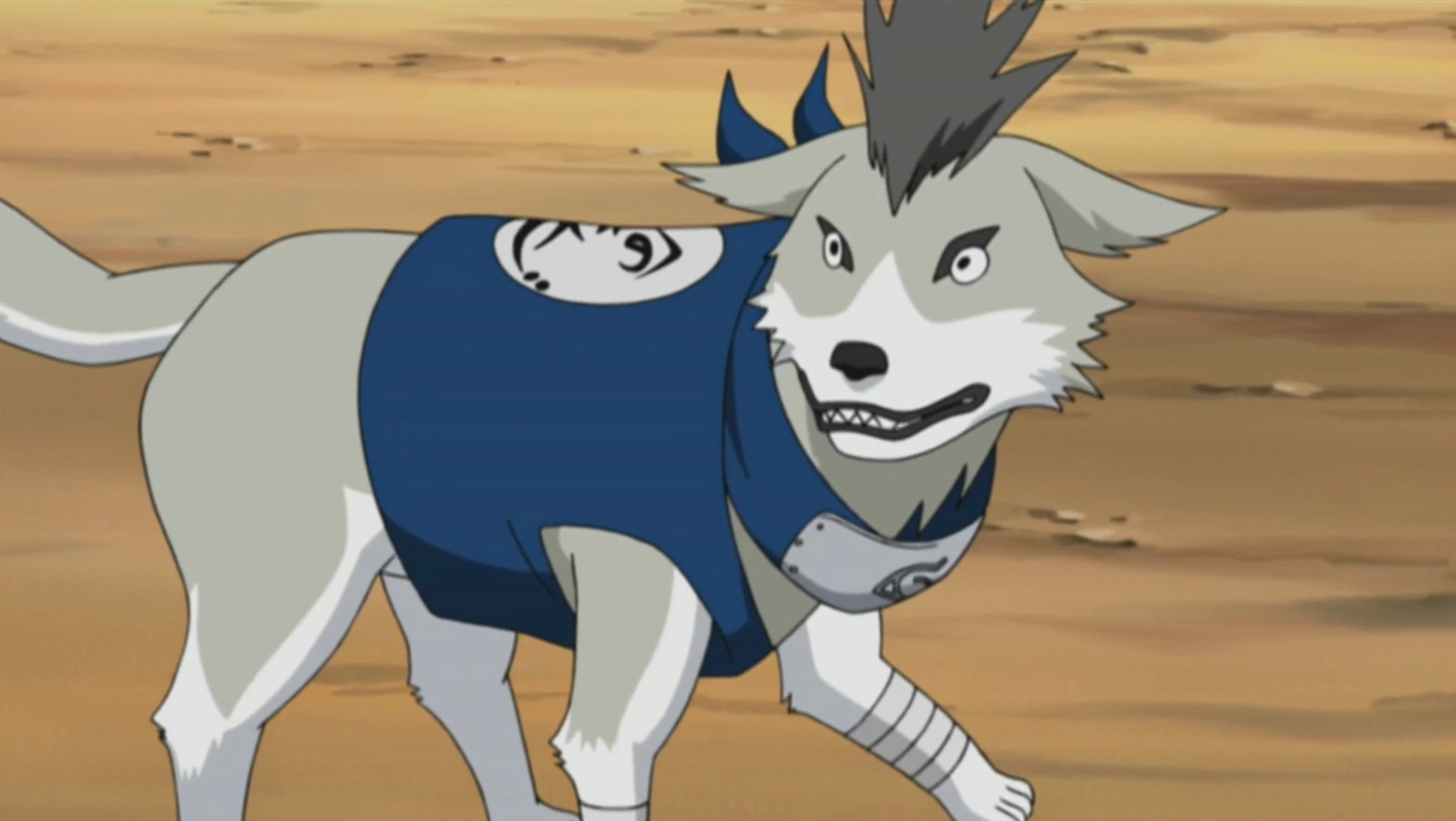Shiba | Naruto Wiki | Fandom