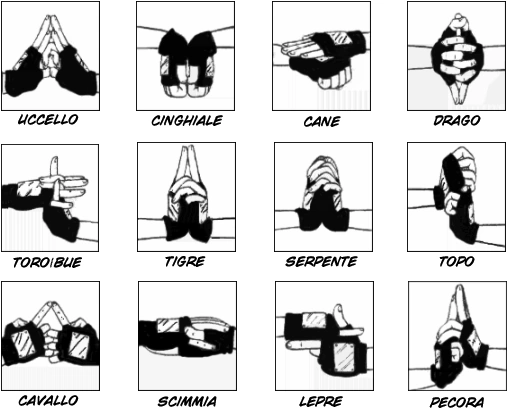 Sigilli ninja | NarutoPedia | FANDOM powered by Wikia