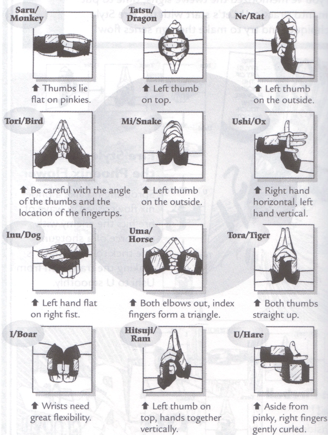 Weaving hand signs steps : coolguides