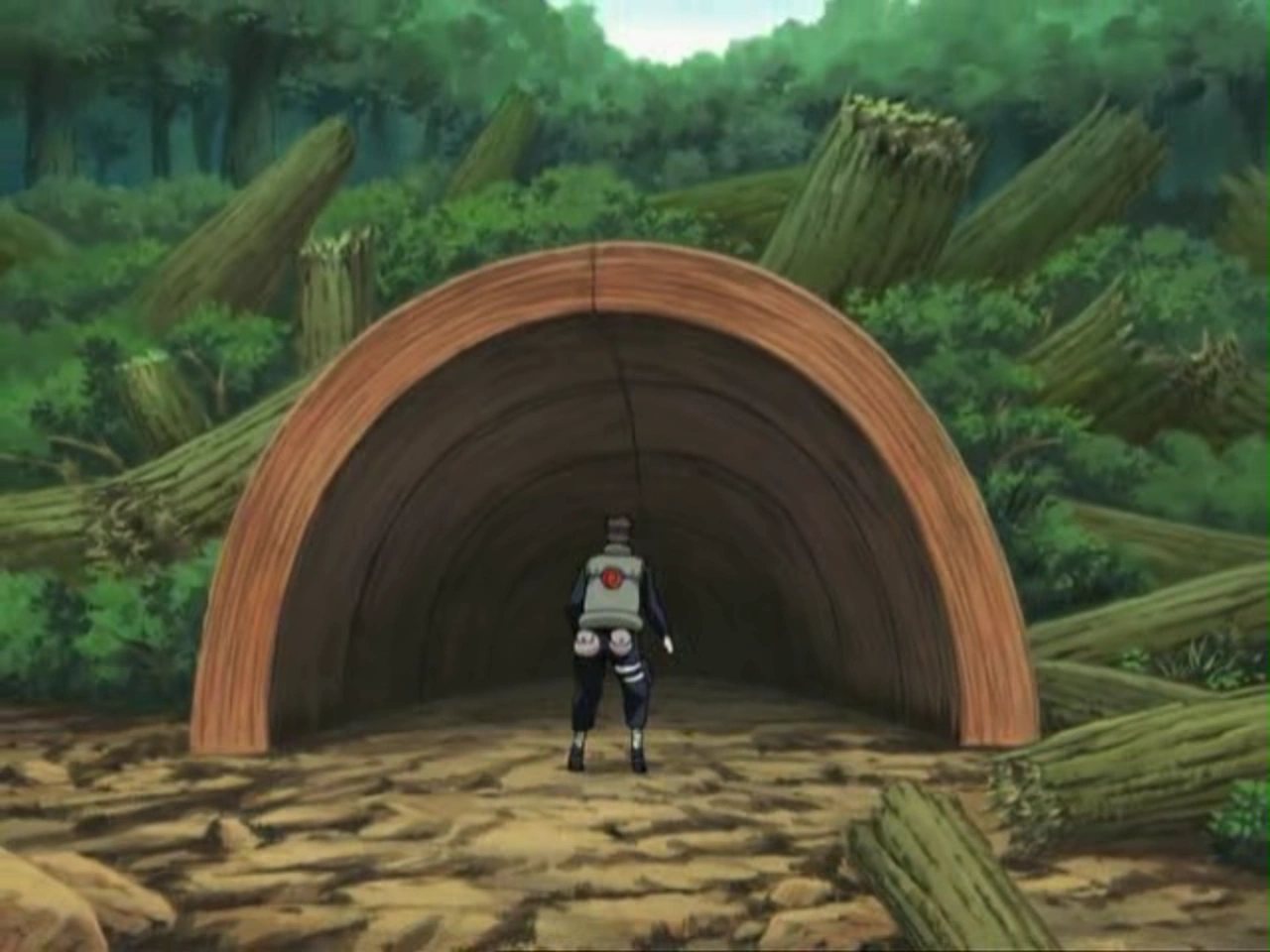 Mokuton: Mokujōheki | Naruto Wiki | Fandom
