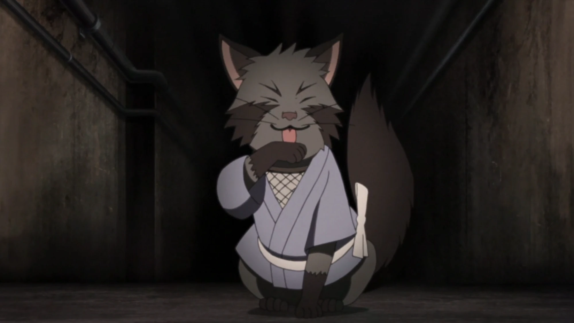 Momo (ninneko) | Narutopedia | Fandom