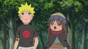 Yota | Naruto Wiki | Fandom