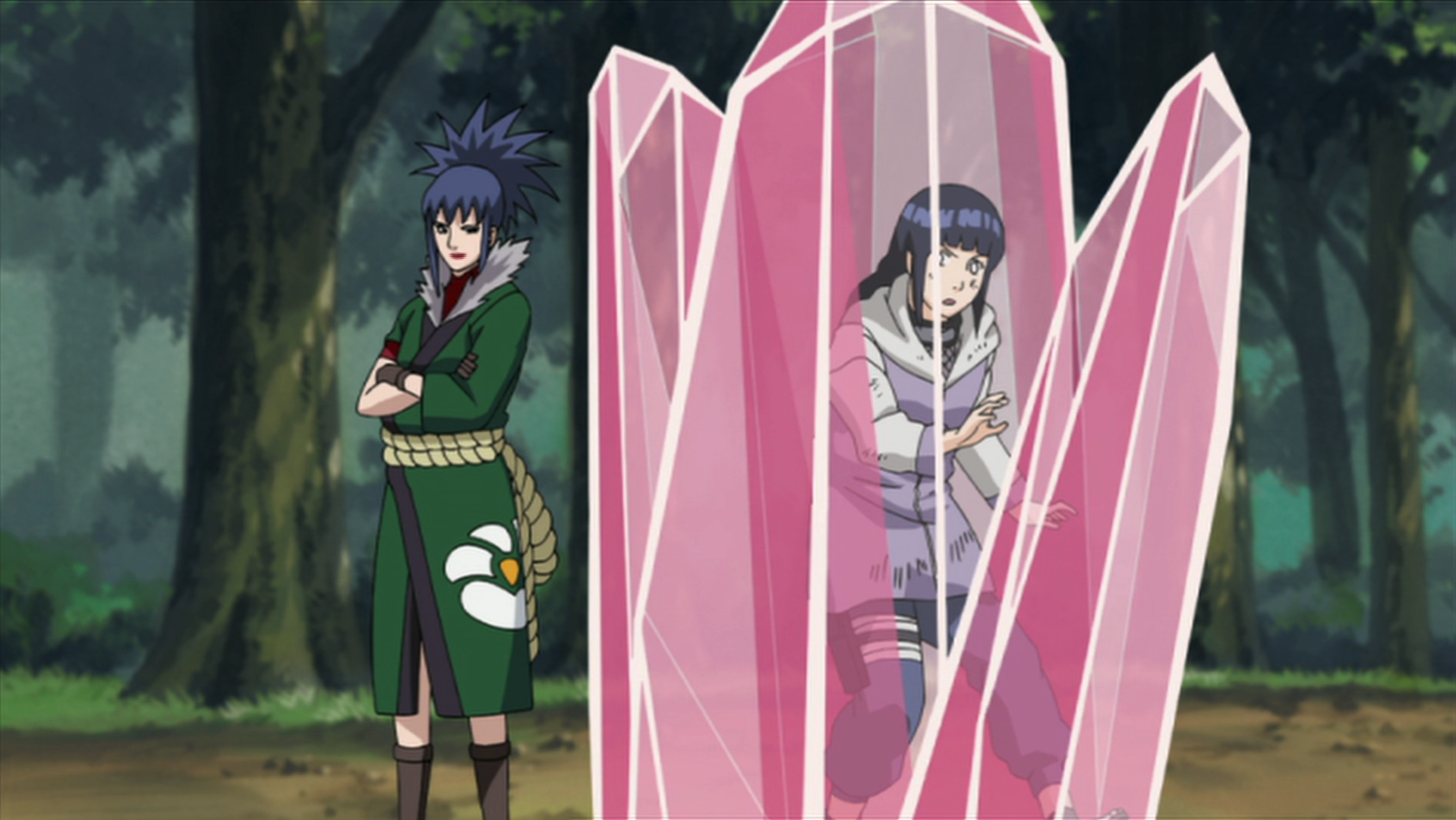 Shôton | Naruto Wiki | Fandom