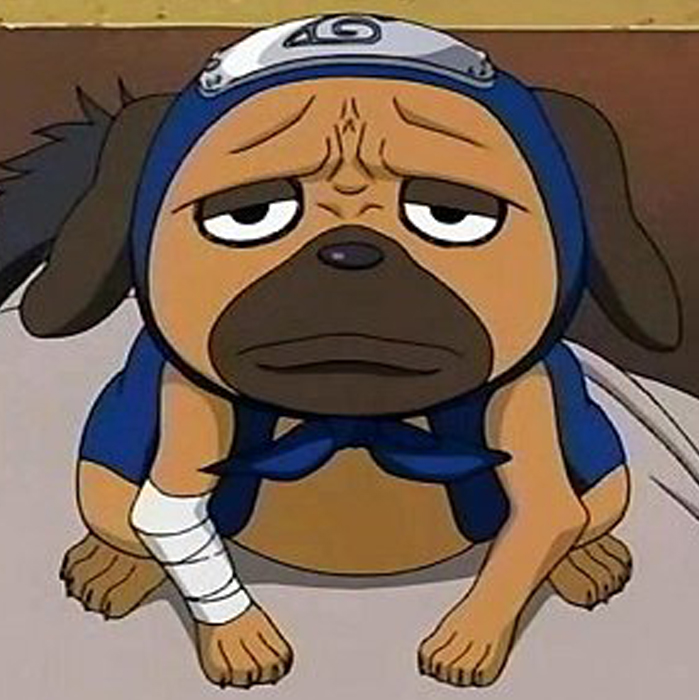 Pakkun | Anime y Peliculas | FANDOM powered by Wikia