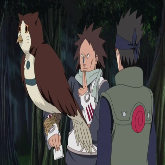 Búho | Anime y Peliculas | Fandom