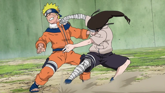 Image - Neji vs Naruto.png | Narutopedia. sr Wiki | FANDOM powered by Wikia