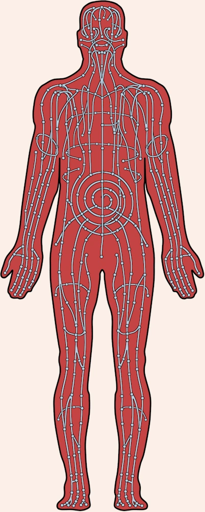 Chakra Sonar | Naruto Profile Wiki | FANDOM powered by Wikia