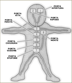 Eight Gates Released Formation Episode Narutopedia