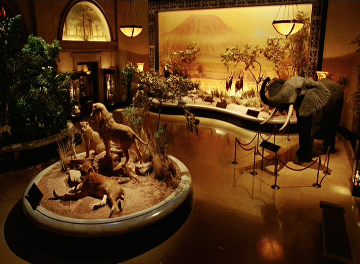 Hall of African Mammals | Night At The Museum Wiki | FANDOM powered by ...