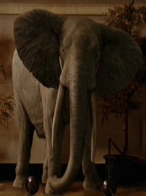 African Elephant | Night At The Museum Wiki | Fandom