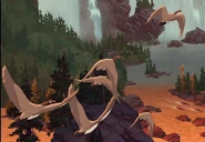 Canada Goose | NatureRules1 Wiki | Fandom