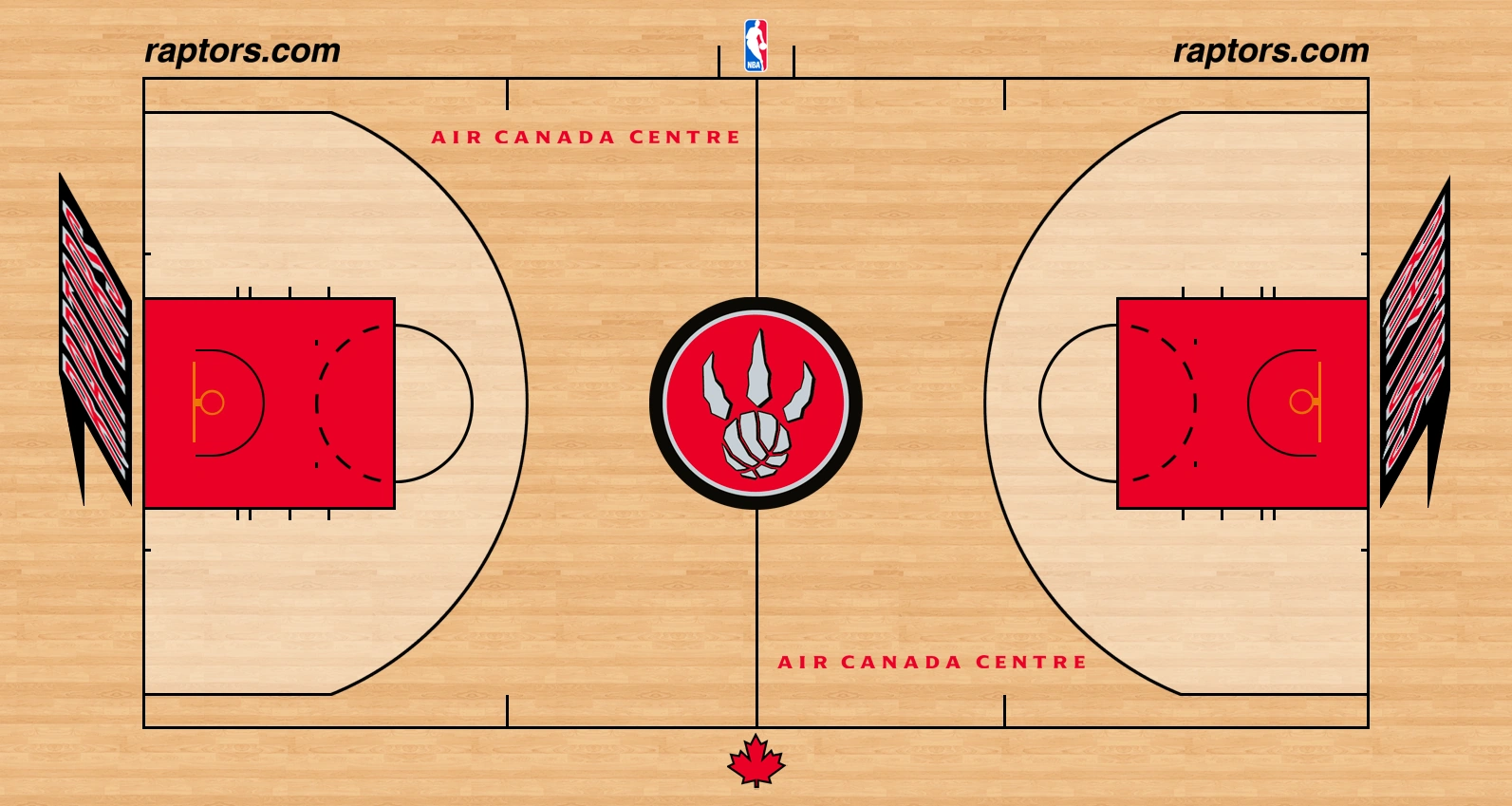 Raptors Basketball Court