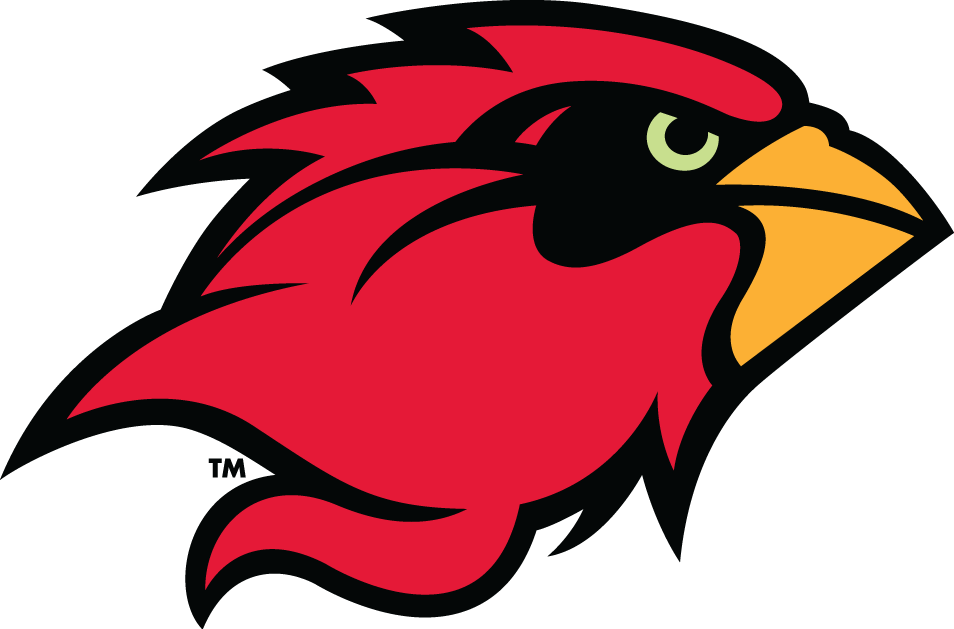 Lamar Cardinals | NCAA Football Wiki | Fandom