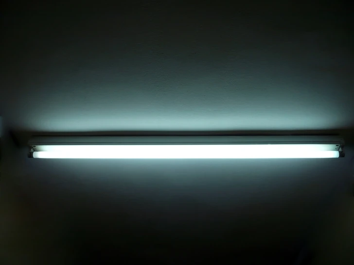 Category:White | Neon colors! Wiki | Fandom