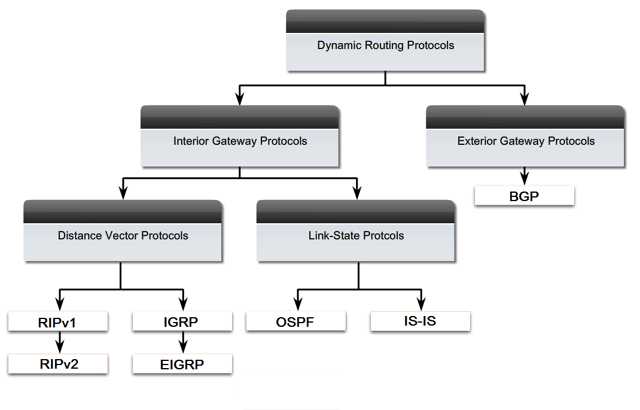 Image - Dynamic routing protocols.png | Network Infrastructure Wiki ...