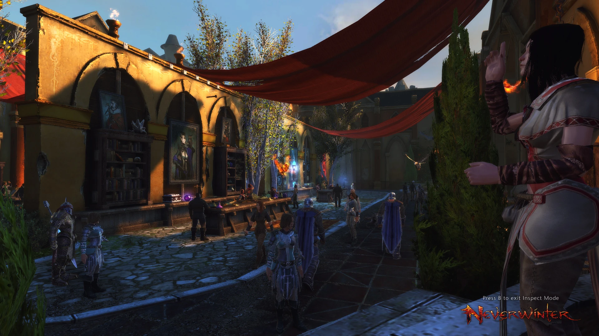 Seven Suns Coster Market | Neverwinter Wiki | Fandom