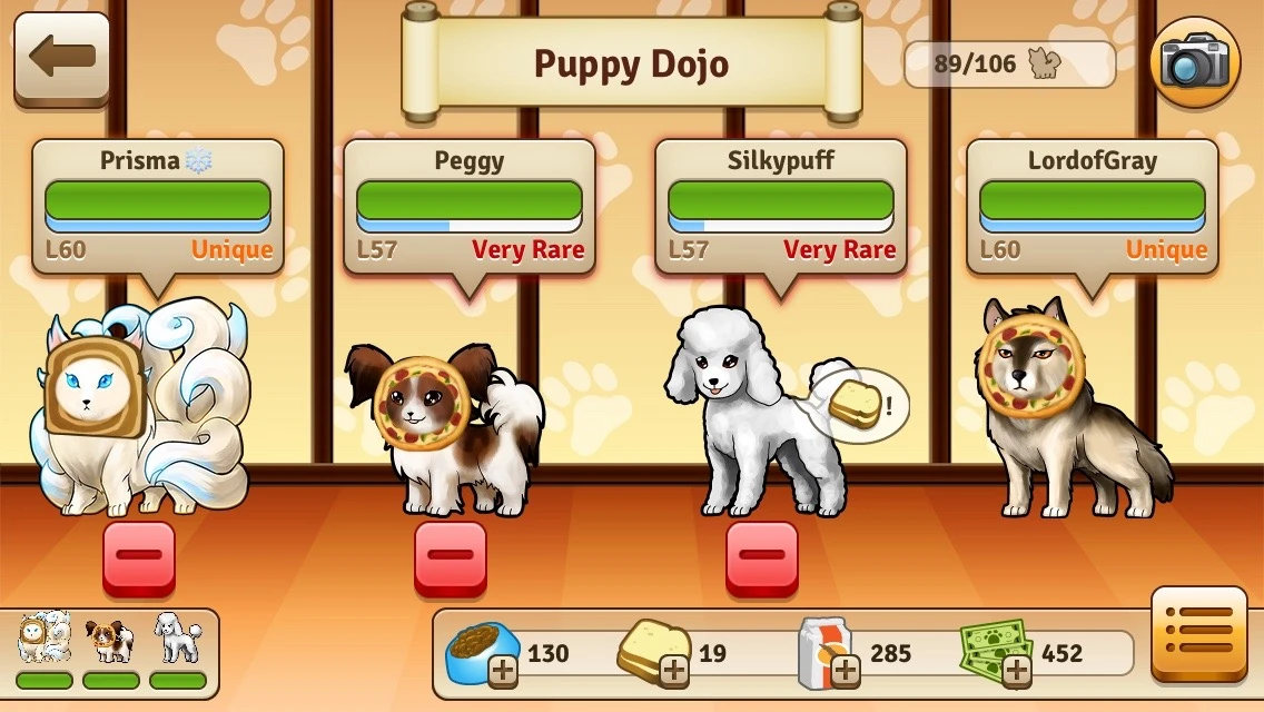 Poodle | Bread_Kittens Wiki | Fandom