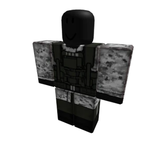 The First Revolutionary Army of Mayflower | New Haven County Wiki | Fandom