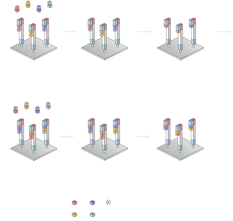 Illumina Sequencing by Synthesis (SBS) | Next Generation Sequencing ...