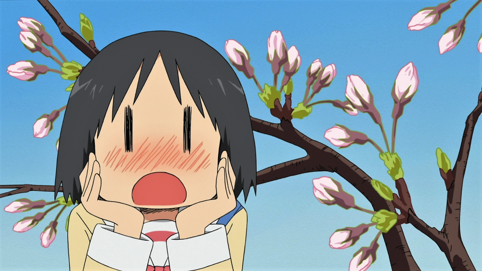 Nichijou Episode 26/Image Gallery | Nichijou Wiki | Fandom