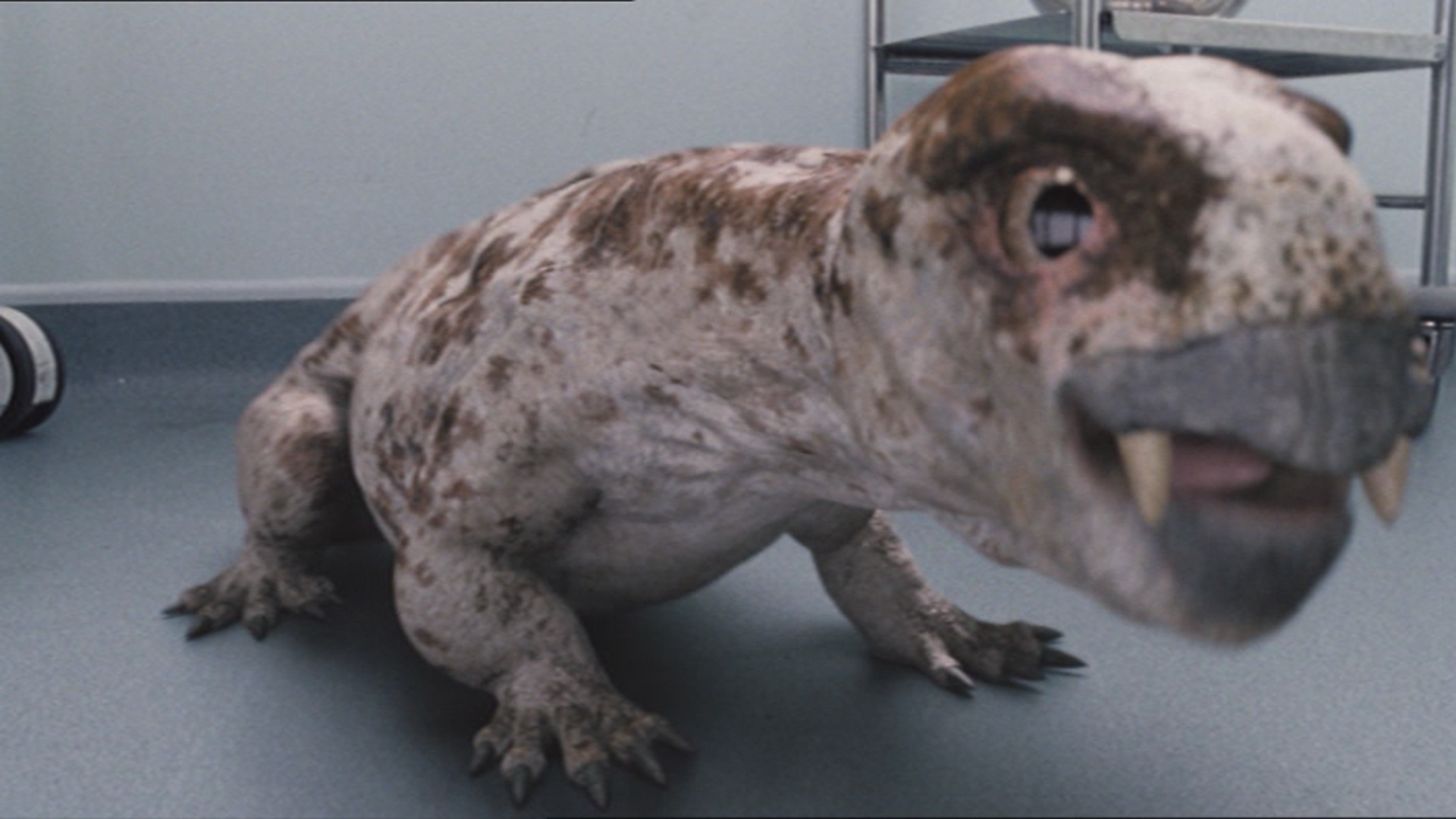 Diictodon Wiki Nick Cutter Et Les Portes Du Temps Fandom Powered By Wikia
