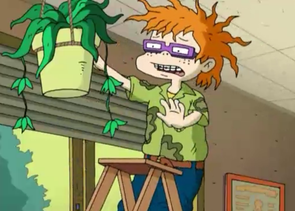 Image Chuckie Finster All Grown Uppng Nickelodeon Movies Wiki Fandom Powered By Wikia