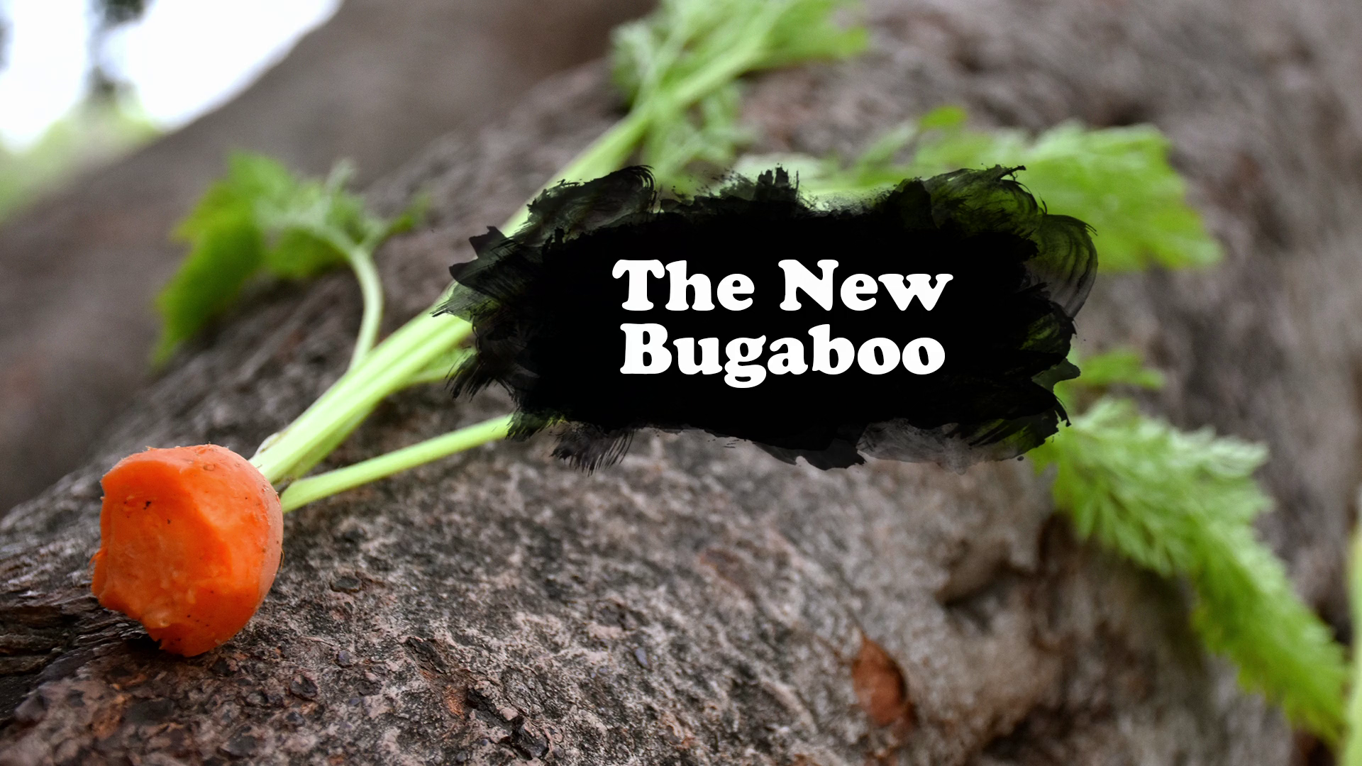 Bild - The New Bugaboo.png | Nickelodeon Wiki | FANDOM powered by Wikia